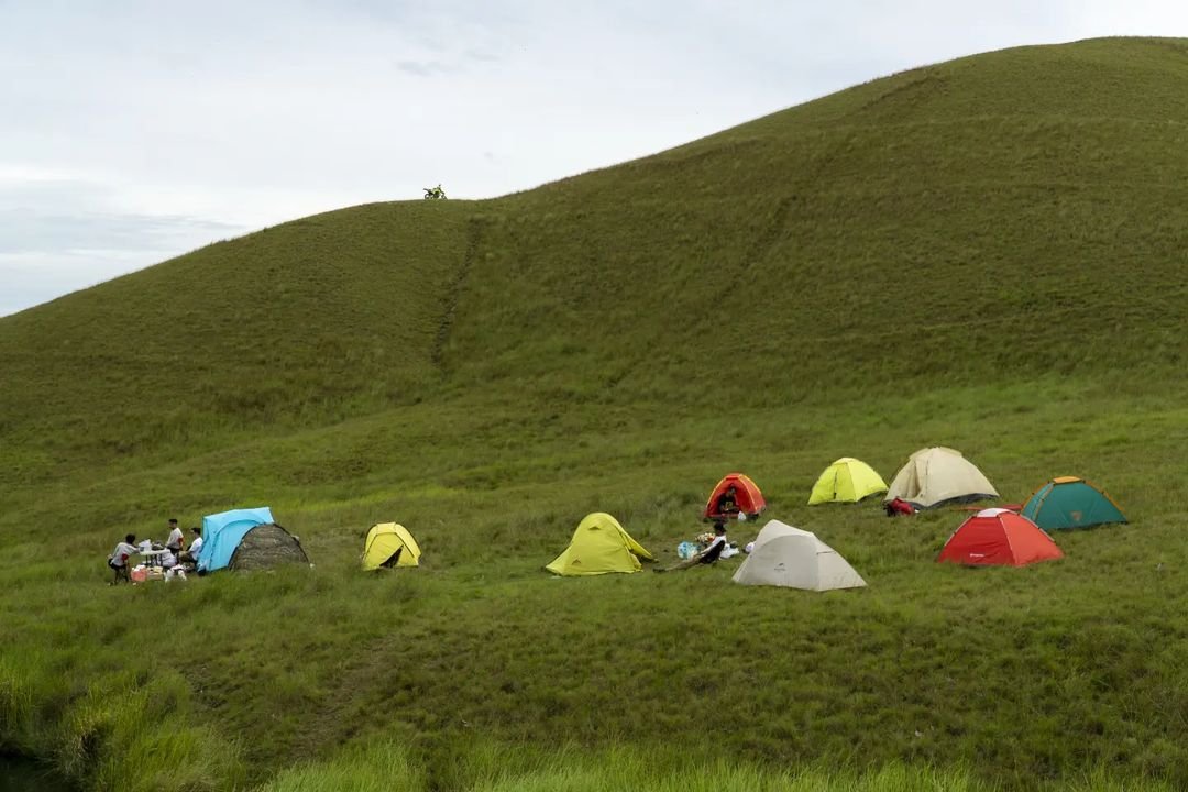 Intip Pesona Bukit Punggung Kuda di Bombana, Surga Savana di Bumi Anoa